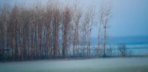 Exploring The Different Types of Fog: A Comprehensive Guide - Wild Fog