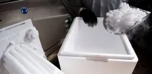 How to Get Rid of Dry Ice Safely: Tips to Dispose Dry Ice - Wild Fog