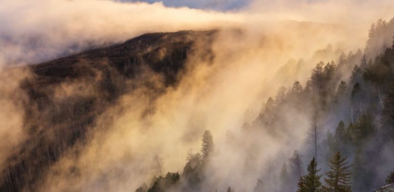 Exploring The Different Types of Fog: A Comprehensive Guide - Wild Fog