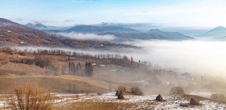 Exploring The Different Types of Fog: A Comprehensive Guide - Wild Fog