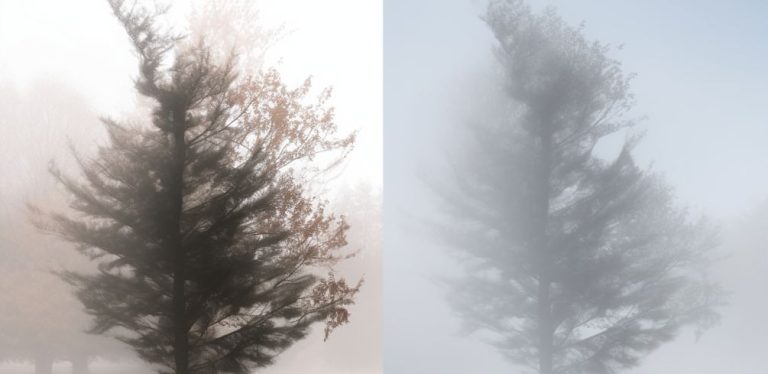 Nature's Fog Vs. Fog Machines: Understanding the Differences - Wild Fog
